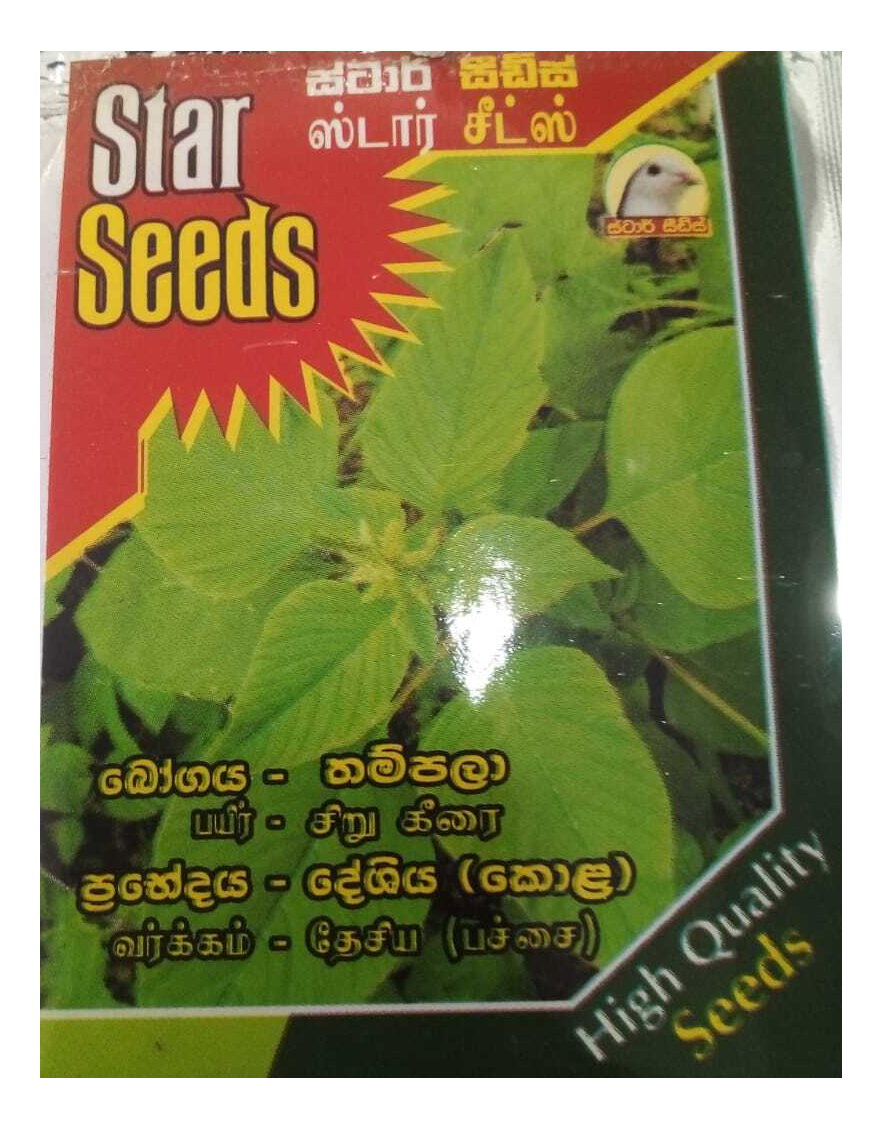 பச்சை அமராந்த் /Thampala seeds/හරිත අමරන්ට් – Gallus.lk